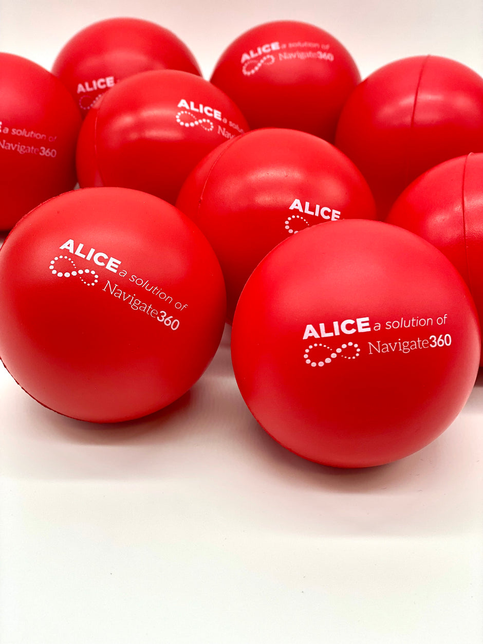 ALICE Training Products – Navigate360