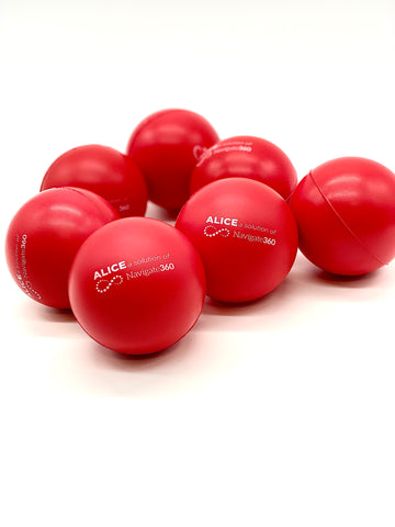 ALICE Training Products – Navigate360